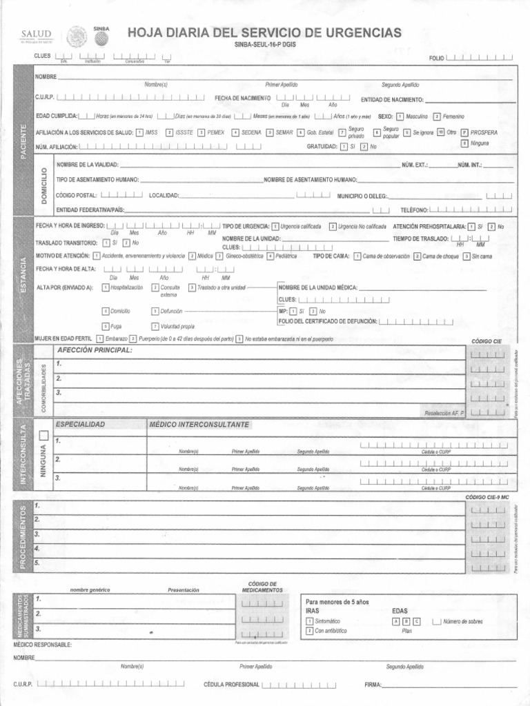 Hoja Diaria de Urgencias | PDF