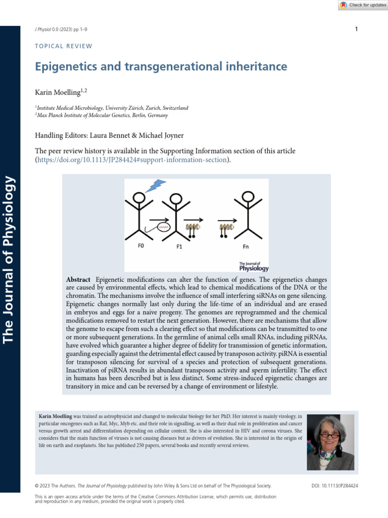 The Journal of Physiology - 2023 - Moelling - Epigenetics and ...