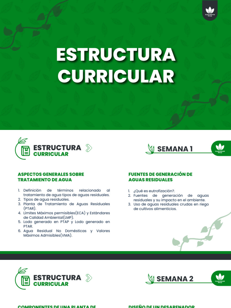 Estructura Curricular Tratamiento de Aguas | PDF | Agua | Tratamiento de aguas residuales