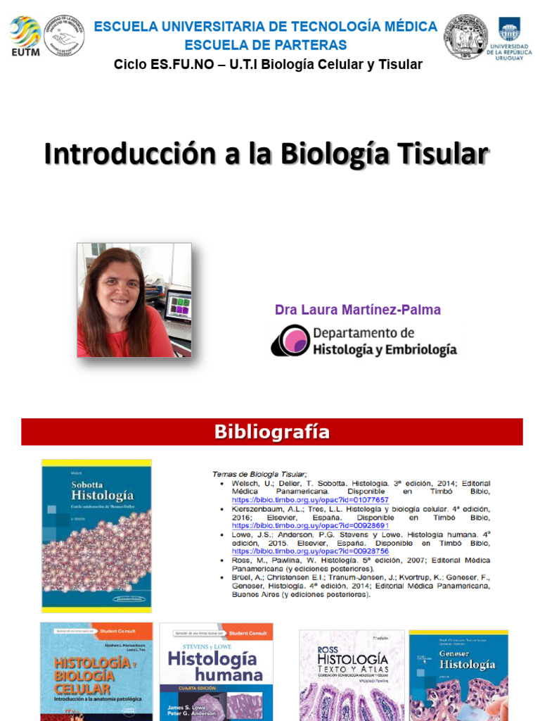 BCT2024 - T24 - Introducción - Biología Tisular-Matriz | PDF | La ...