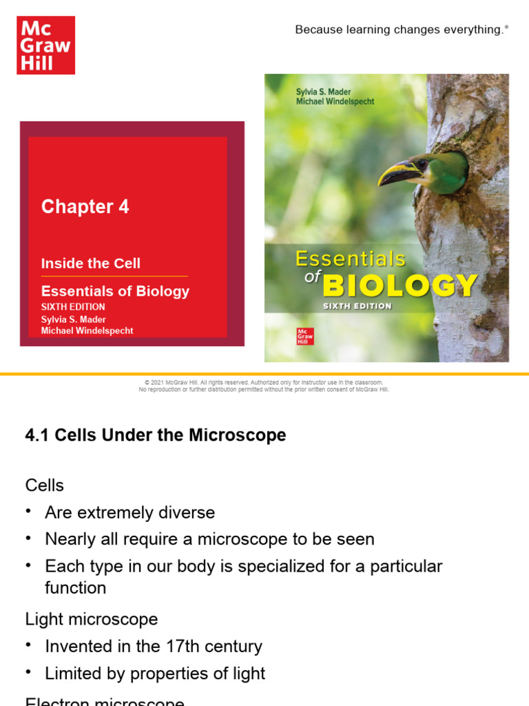 Mader Essentials 6e Chap04 LecturePPT Accessible | PDF | Endoplasmic ...