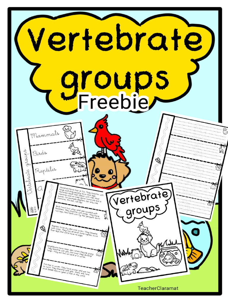 Vertebrategroupsinteractivenotebookfreebie 1 | PDF