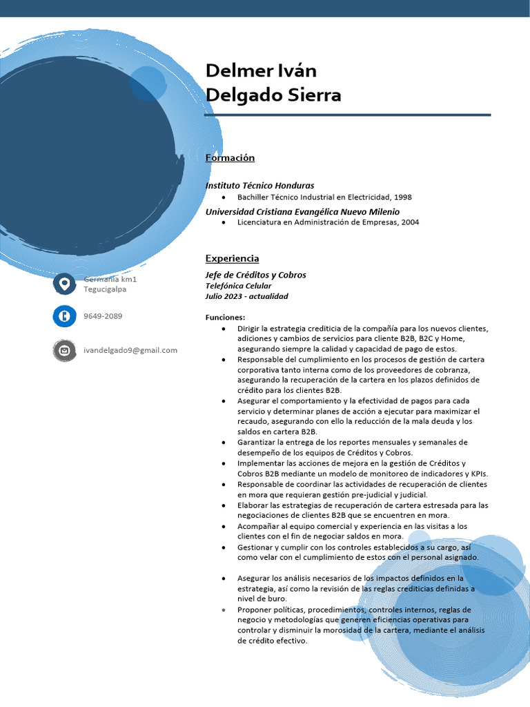 Curriculum Delmer Delgado | PDF | Business | Economias