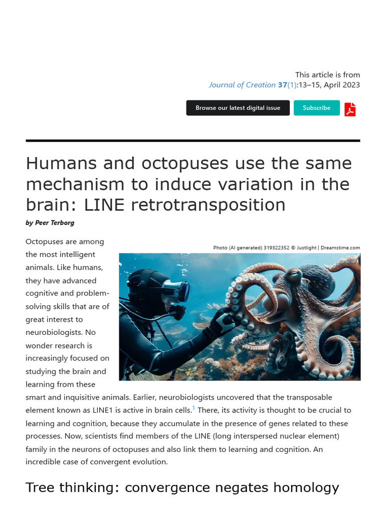 Genetic Convergence Between Humans and Octopuses | PDF | Retrovirus | Transposable Element