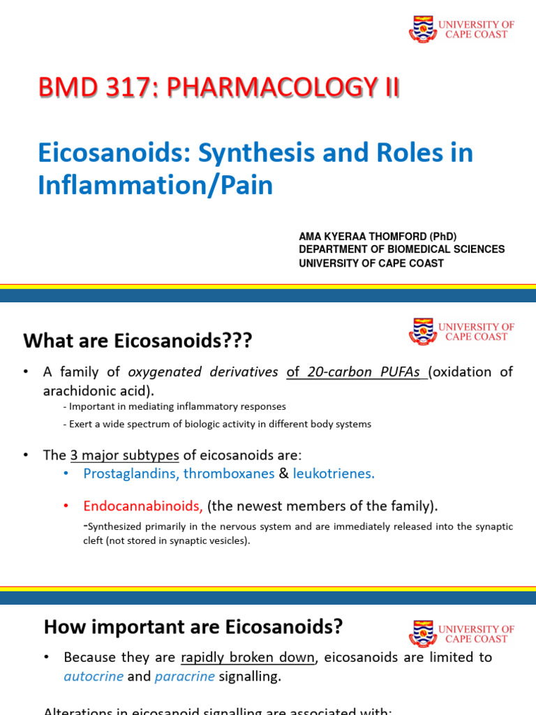 BMD 317 - Eicosanoids - Synthesis and Roles in Inflammation and Pain | PDF | Nonsteroidal Anti ...