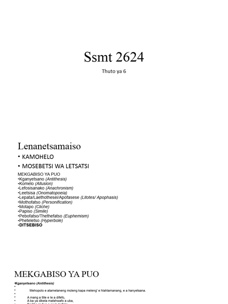 SSMT 2624 Thuto Ya 6 2024 | PDF