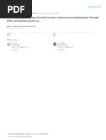 Understanding the Two-Hit Hypothesis | PDF | Tumor Suppressor Gene | Cancer