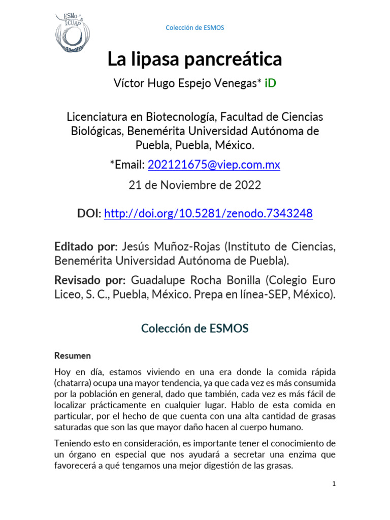 Lipasa Pancre %A | PDF | Bilis | gordo