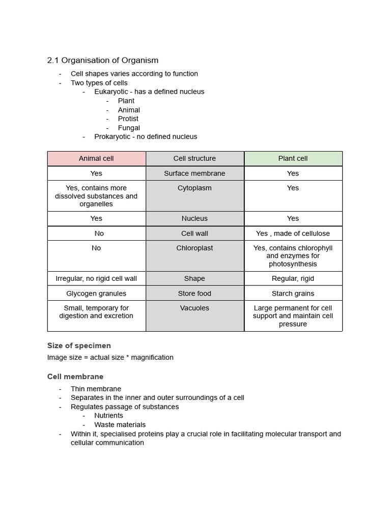 2.1 Organisation of Organism | PDF | Cell (Biology) | Endoplasmic Reticulum