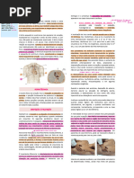 Precórdio | PDF | Coração | Especialidades médicas