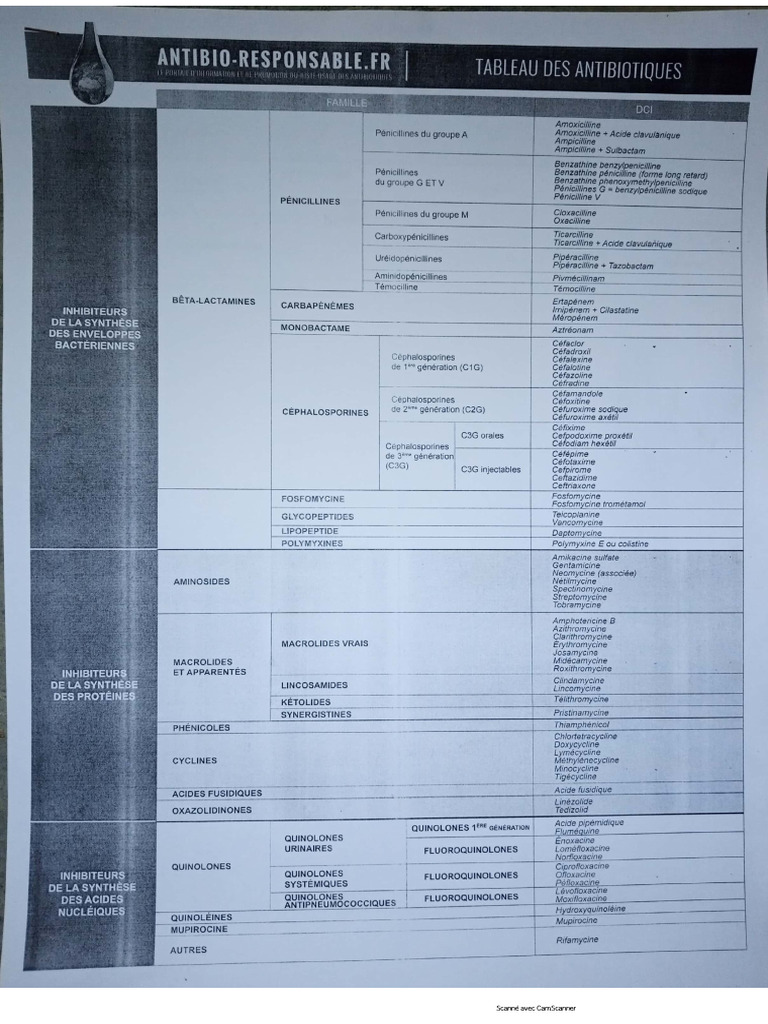 Tableau Des Antibiotiques | PDF