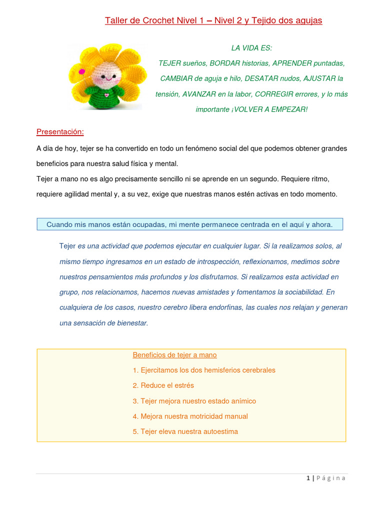 Propuesta Taller de Crochet Nivel 1 - Nivel 2 y Tejido Dos Agujas | PDF ...