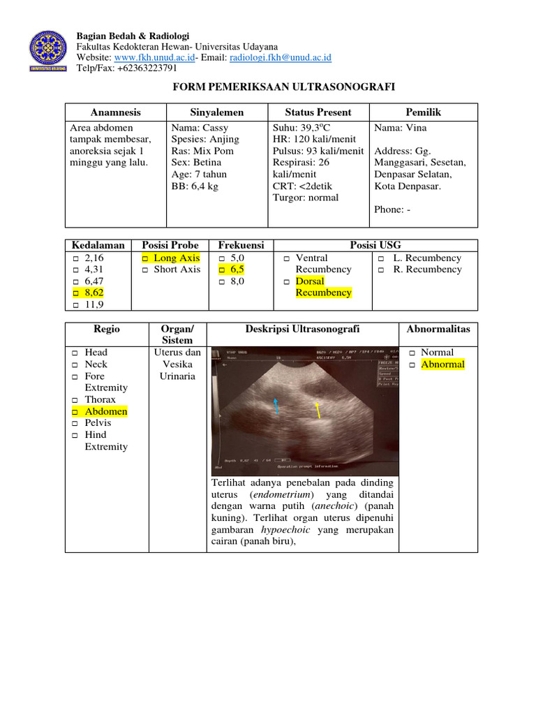 Laporan 3 Kasus USG PPDH 24C - Pyometra Kebutingan Urolithiasis | PDF