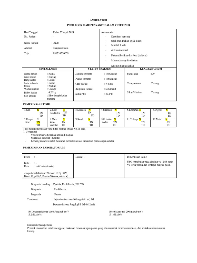 Urolithiasis pada Kucing: Diagnosis dan Penanganan | PDF