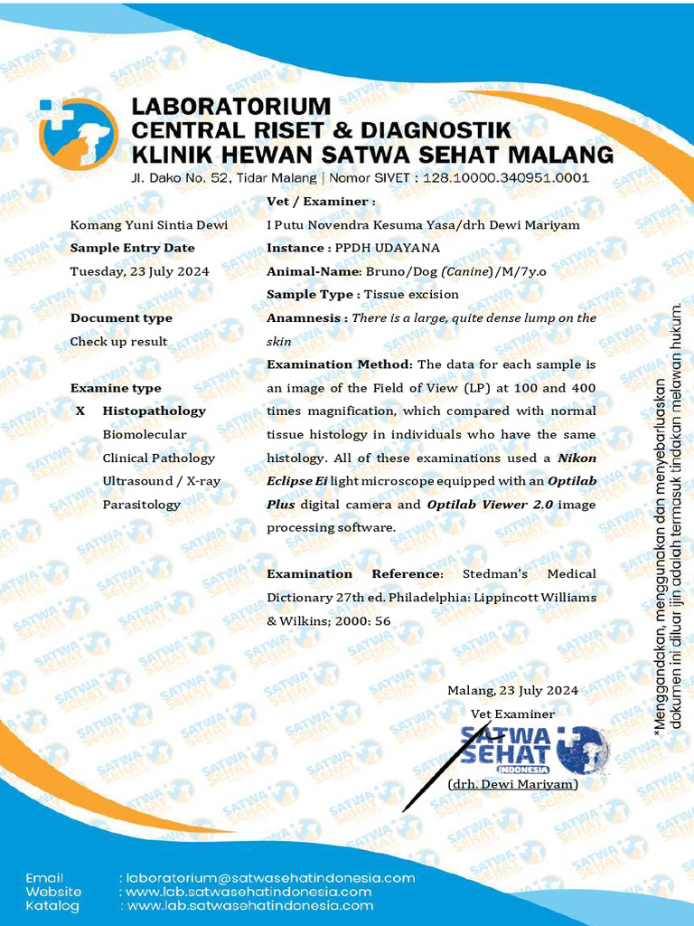 Biopsy Result Bruno Dog - I Putu Novendra Ky - PPDH Udayana - 230724 | PDF | Neoplasms ...