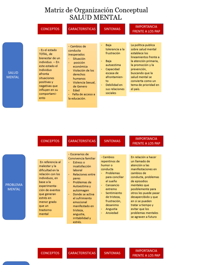 Matriz de Organizacion Conceptual Sobre SALUD MENTAL | PDF | Trastorno ...