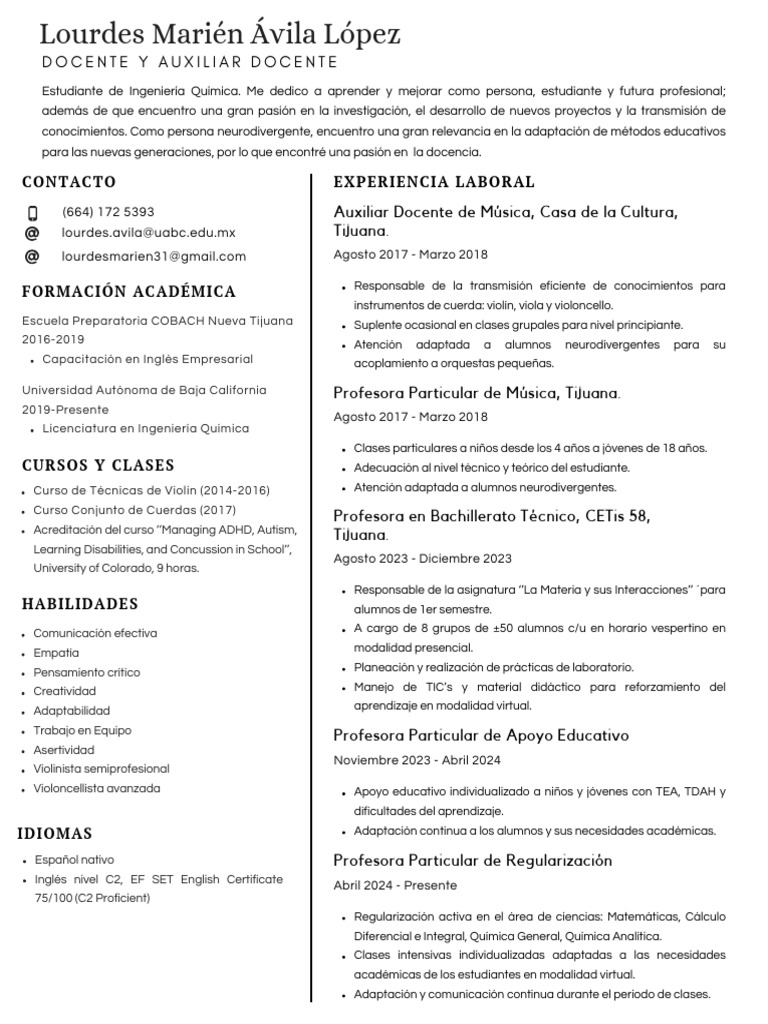CV Docente | PDF | Maestros | Aprendizaje