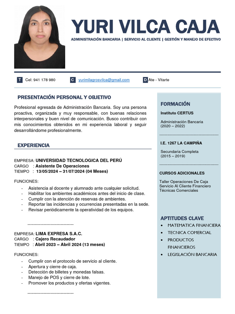 Yuri Vilca - CV - 2024 - Actual-1 | PDF | Servicio al Cliente | Business