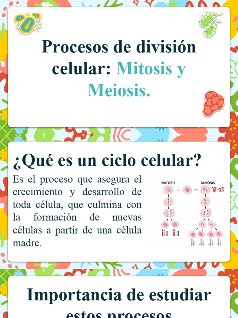 Procesos de División Celular y Transporte en La Membrana | PDF