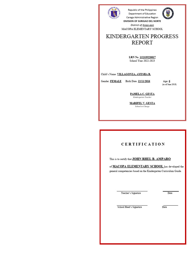 Kinder Progress Report Blank | PDF | Letter Case | Poetry