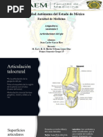 Ligamentos del Pie: Estructura y Función | PDF | Pie | Anatomía del ...