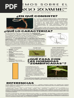 Ophiocordyceps unilateralis: Hongo zombi en insectos | PDF | Hongo ...