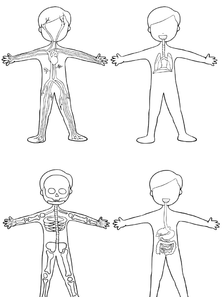 Sistem Dalam Tubuh Manusia | PDF