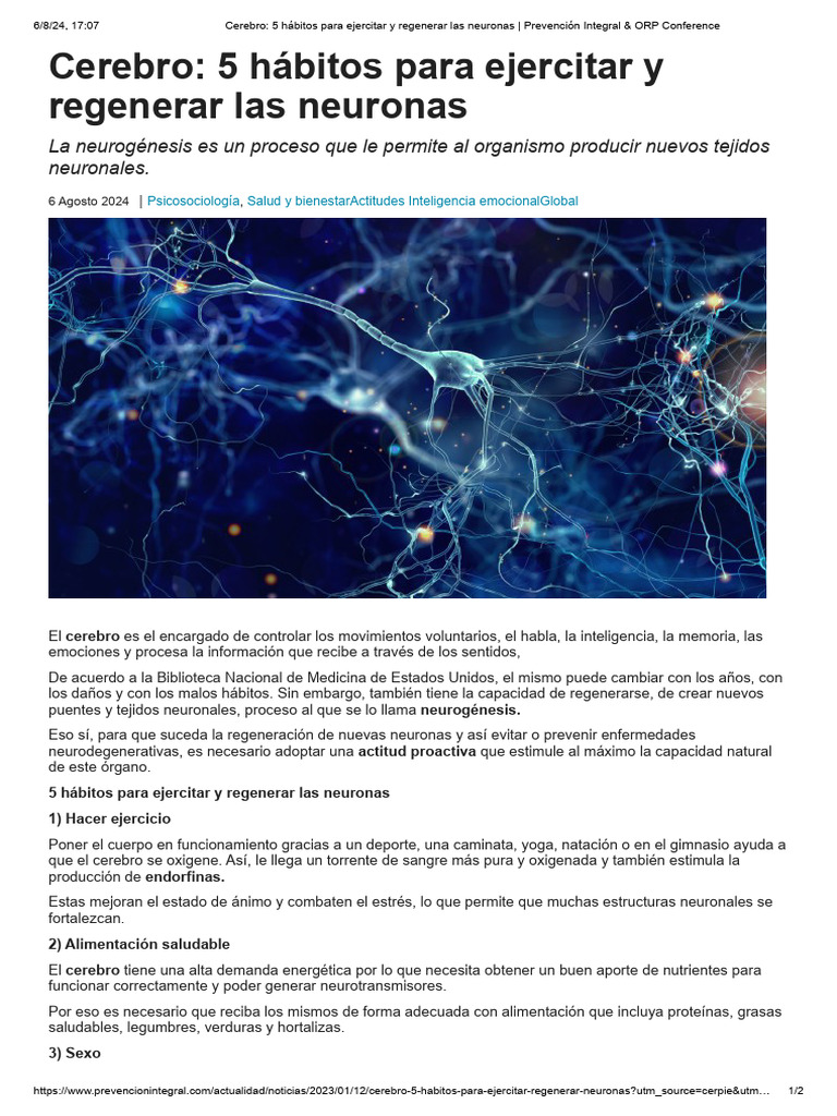 Cerebro_ 5 hábitos para ejercitar y regenerar las neuronas _ Prevención ...