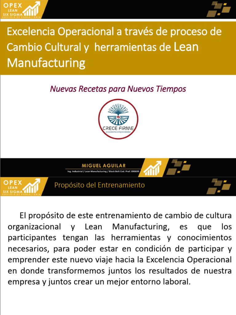 Operational Excellence Lean Manufacturing Crece Ver 01 | PDF | Lean ...