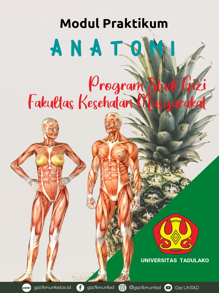 Modul Praktikum Anatomi | PDF