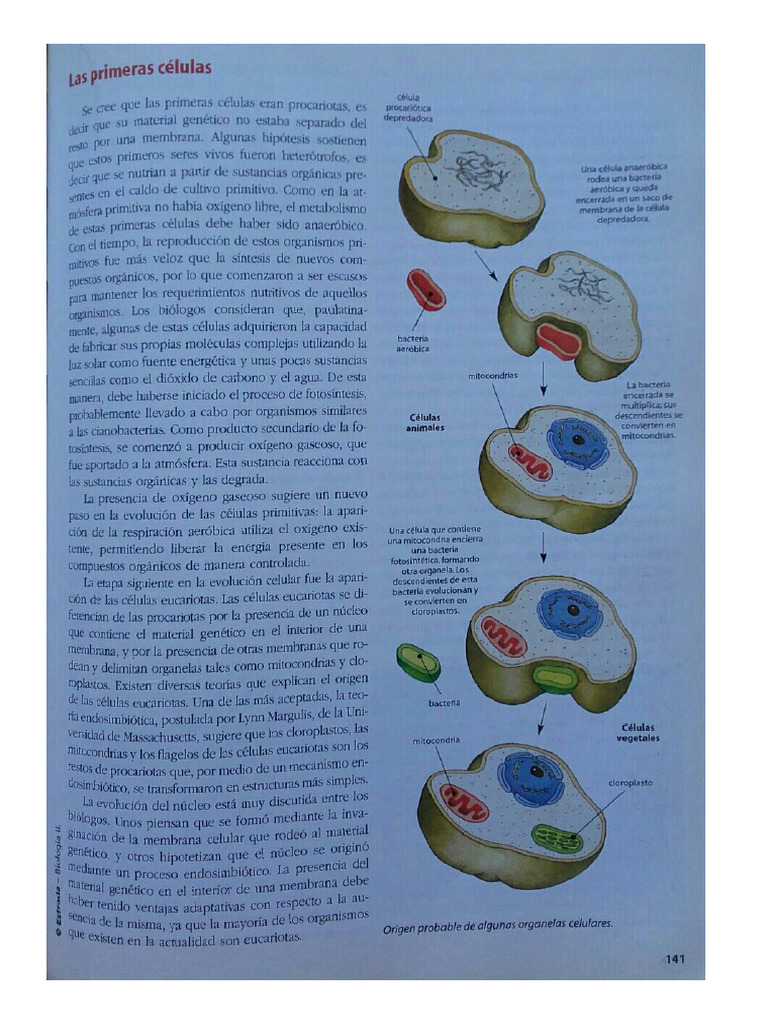 New Document(82) | PDF