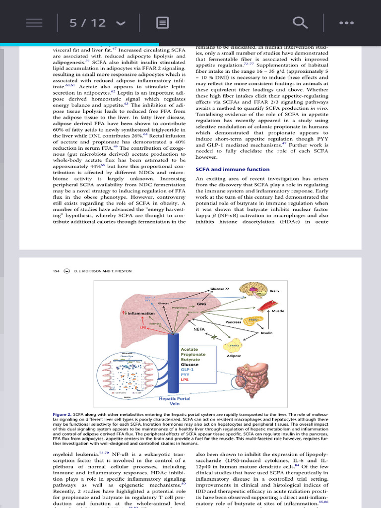 Formation of Short Chain Fatty Acids by The Gut Microbiota and Their ...