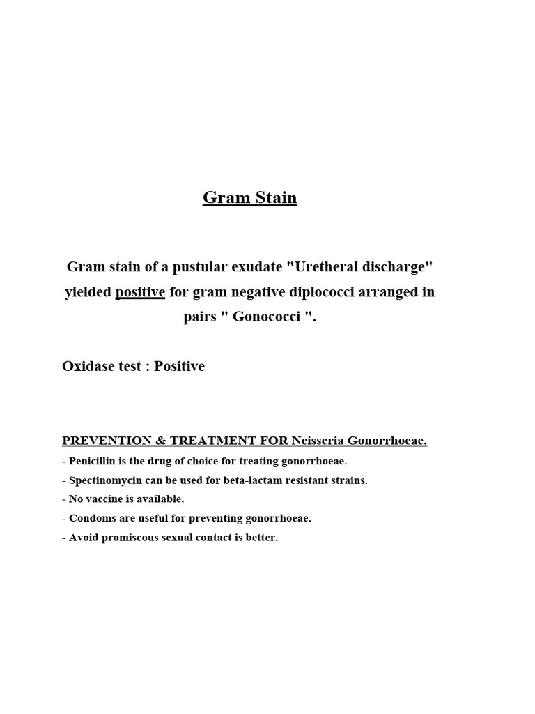 Gram Stain | PDF