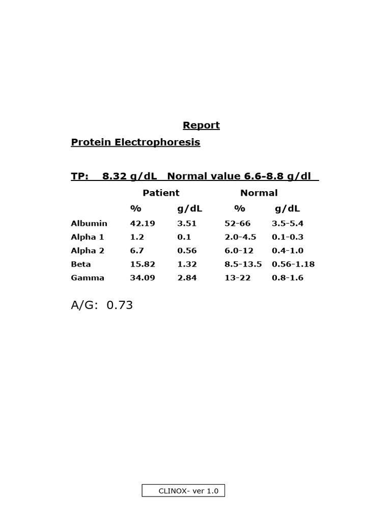 Protein Electro | PDF