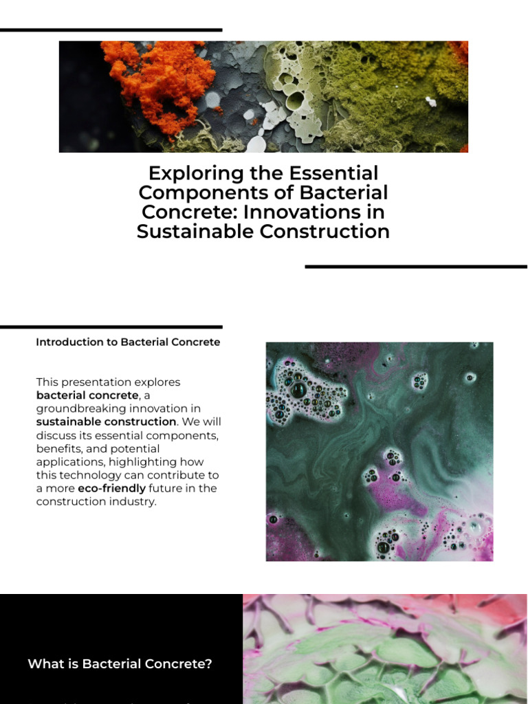 Slidesgo Exploring The Essential Components of Bacterial Concrete ...