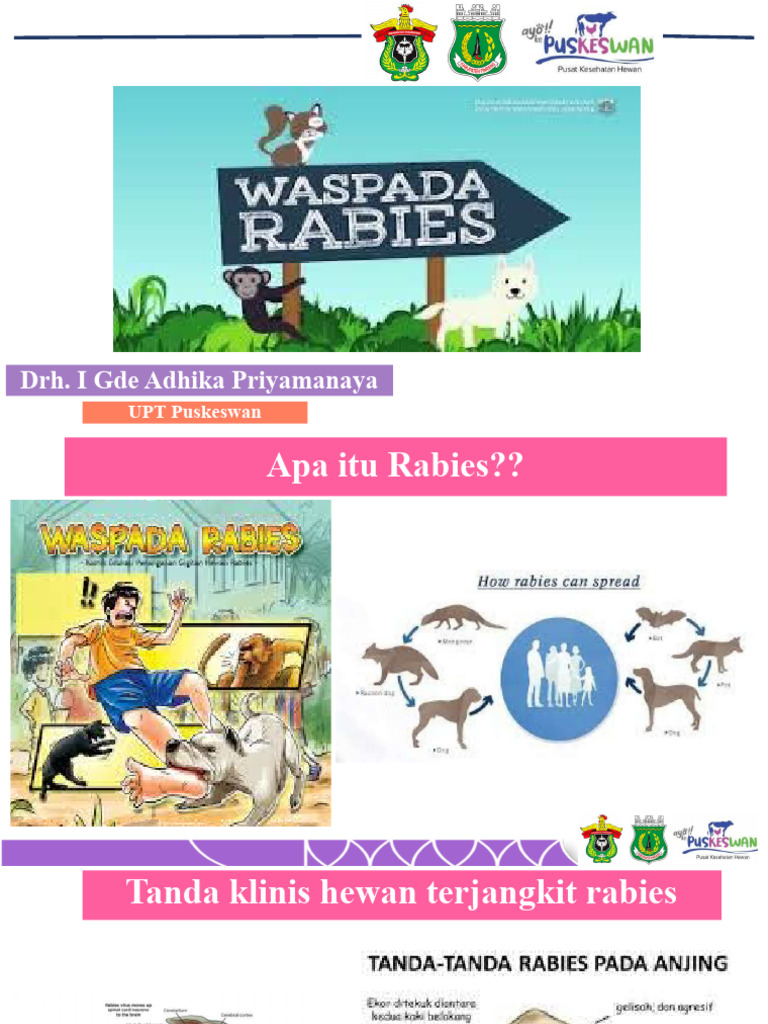 Penyakit Rabies | PDF