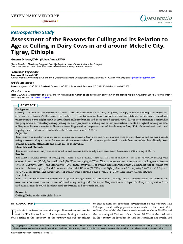 Culling Report Irraa Fudhatamee | PDF | Dairy | Dairy Cattle