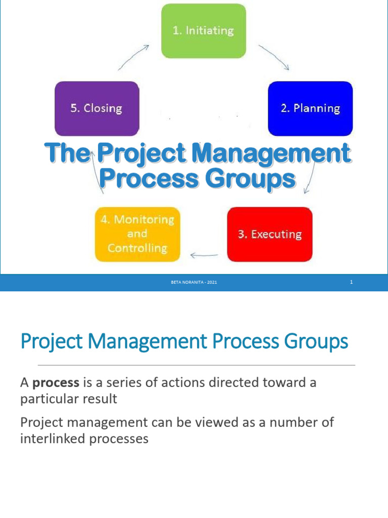 Management Process Group | PDF | Software Testing | Software ...