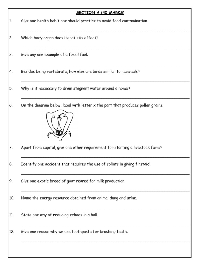 P7 SCIENCE REVISION QUESTIONS Collection | PDF | Water | Blood