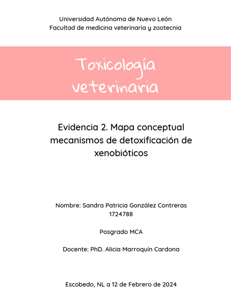 Evidencia 2. Mapa Conceptual | PDF | Biotransformación | Redox