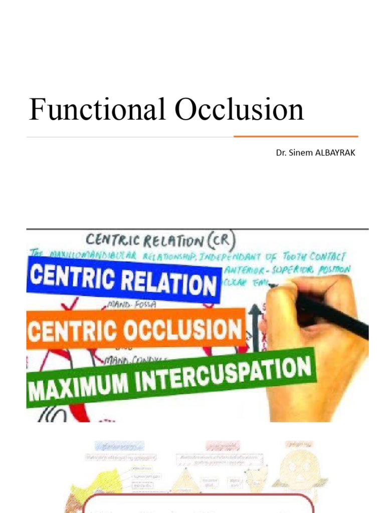 Functional Occlusion | PDF | Tooth | Mouth