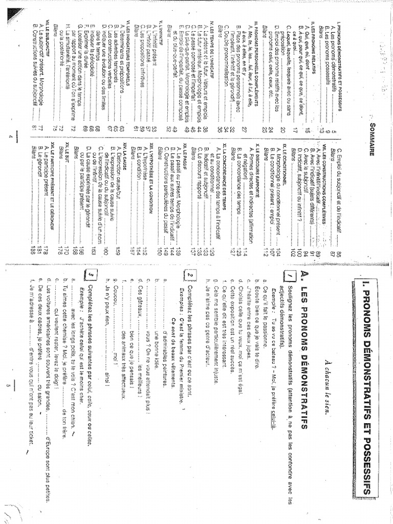 Grammaire 450 Nouveaux Exercices | PDF