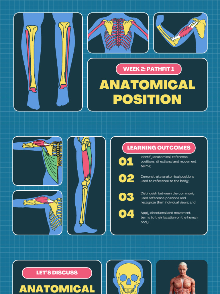 Week 2 Anatomical Position Pdf Anatomical Terms Of Motion