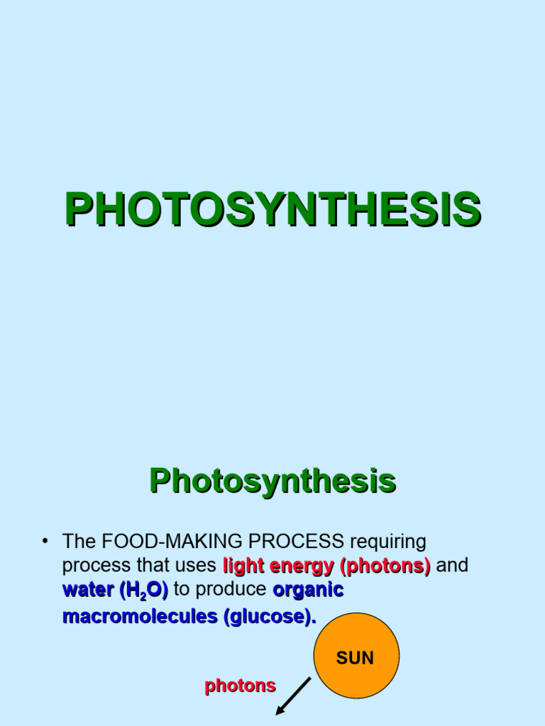 Photosynthesis | PDF | Cellular Respiration | Photosynthesis
