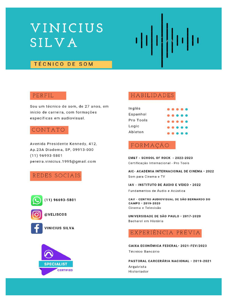 CV - Vinicius Silva | PDF