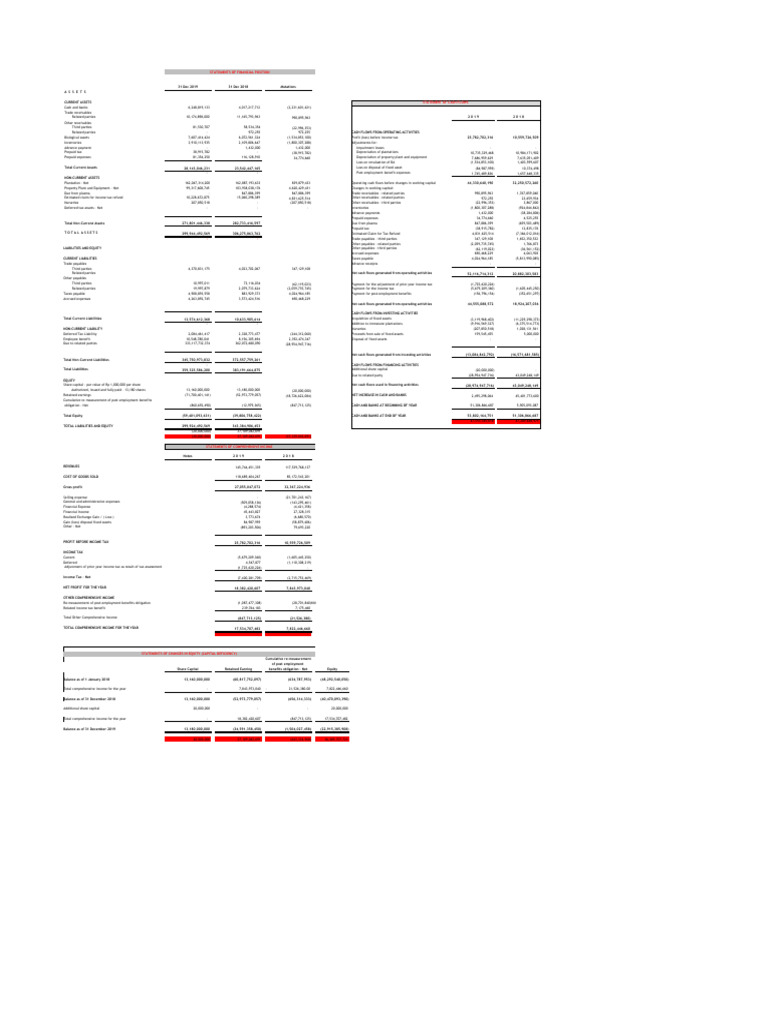 Tentative Worksheet PT CPA 2020R v1 - Ok | PDF | Fixed Asset | Expense