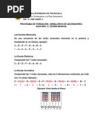 Quena Notas Cromaticas | PDF