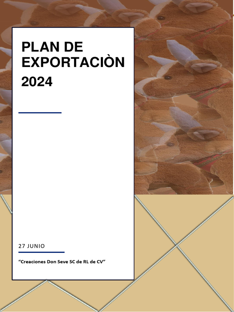 Plan De Exportación Pdf Aduana Economias