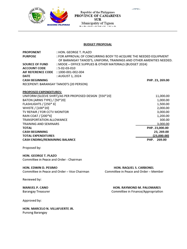 BUDGET PROPOSAL | PDF | Budget