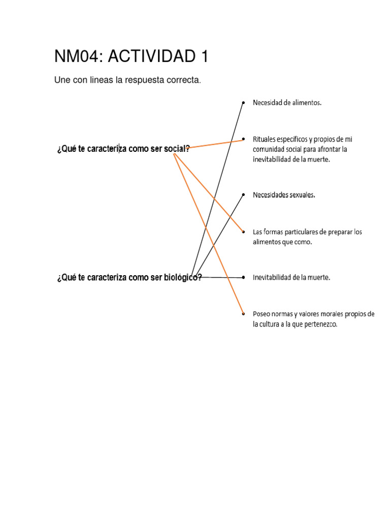 NM04 Actividad 1 | PDF